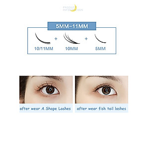 LASGOOS DIY Eyelash Extensions Natural 3D Individual Lash 40pcs 5mm Single Bottom/Lower Lash + 80pcs 10/11mm A Shape+ 80pcs Fish Tail Volume Lashes Mixed, Home Grafted C curl Lashes Pack