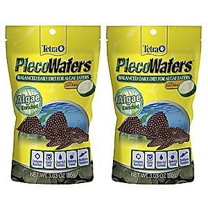 Tetra 77016 TetraVeggie Algae Wafers, 6-Ounce, 172-Gram