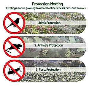 Becko US Garden Netting Plant Covers 10 x 20 Ft, Mesh Netting Pest Barrier for Garden Ultra Fine Mesh Plant Covers Protection