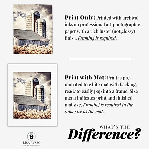 Lisa Russo Fine Art - Nature Wall Art - Botanical Flower Wall Decor Pictures - Shabby Chic Style - Set of 4 - Not Framed - Ivory, Tan, Beige (4 SMALL 5x7 Prints Only)