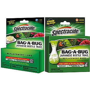 Spectracide Bag-A-Bug Japanese Beetle Trap Replacement Lure 1 Count, Lure Refill & Insect Killer, 6 Bags