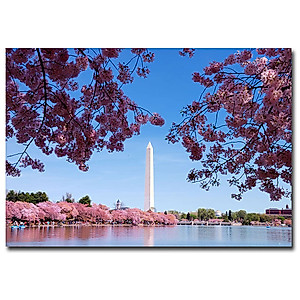 Washington D.C. Cherry Blossom Refrigerator Magnet Size 2.5" x 3.5"