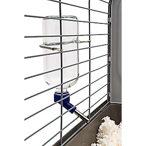 LIXIT Chew Proof Glass Water Bottle 16oz