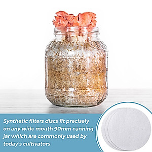 Zonon Synthetic Filter Paper Stickers 90 mm Filter Disc Wide Mouth Filter Paper Stickers for Buchner Funnel, Mushroom Cultivation, High Temperature and High Pressure Resistance