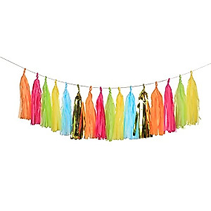GUZON 30PCS Taco Bout a Party Tassel Garland Tissue Paper Tassels Banner DIY Kit Baby Shower Party Taco Tuesday Fiesta Party Bachelorette Llama Party Decorations