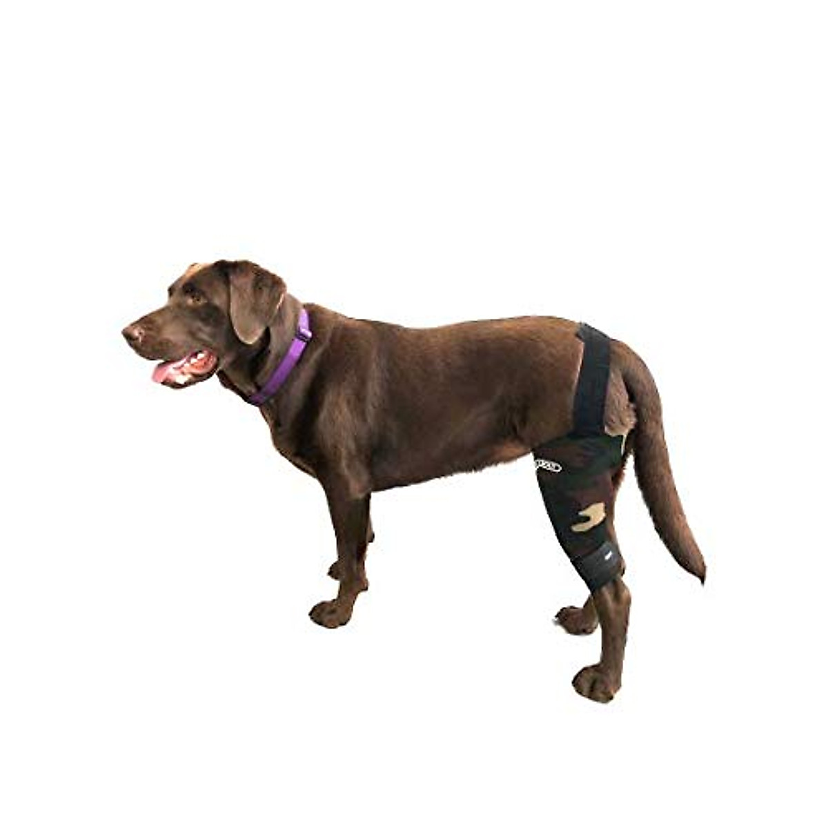 WALKABOUT Harnesses Camouflage Knee Brace for Dogs, Treat ACL, CCL Injury, Arthritis, Joint Pain, Fatigue and Stress with The Knee Brace (Medium-Large Right)