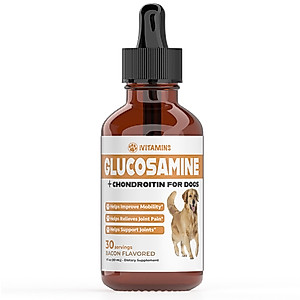 Glucosamine for Dogs | Supports Healthy Hips, Joints, & More | Glucosamine for Dogs Hip and Joint Supplement | Dog Glucosamine | Dog Joint Supplement | Glucosamine Chondroitin for Dogs | 1 fl oz
