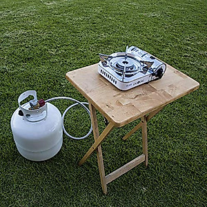 GasOne 50143 4 ft Propane Adapter 1 lb to 20lb Converter Hose, Silver