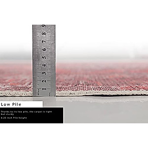 Adiva Rugs Machine Washable and Wipe Clean Area Rug, Living Room Rugs, Bedroom Rug, Water and Dirt Proof Runner Rug, Home Decor (Brown, 2' x 3')