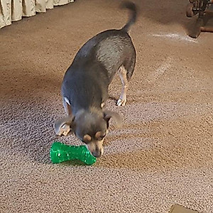 ADUCK Dog Chew Toys Squeaky Tooth Cleaning Bone (Dumbbell Series) Bite Resistant Squeeze Squeaker Puppy Dog Toys for Aggressive Chewers Training and Playing -4.92 inches (Crystal Green)