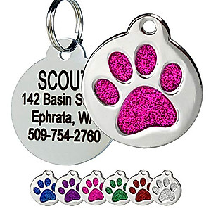 GoTags Paw Print Round Stainless Steel Pet Tag for Dogs and Cats, Personalized with 4 Lines of Custom Engraved ID, in Solid Stainless Steel and 5 Enameled Colors: Blue, Green, Pink, Purple and Red