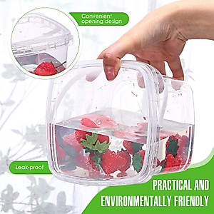 Menkxi 15 Pcs 68 oz Plastic Deli Containers with Lids and Handles Square Clear Food Storage Containers Reusable Freezer Containers for Food Storage and Meal Prep, Freezer and Microwave Safe