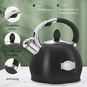 RETTBERG Tea Kettle for Stovetop Whistling Tea Kettles Retro Black Stainless Steel Teapots, 2.64 Quart (Black 1)