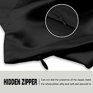 Natural Mulberry Silk Pillowcase with Hidden Zipper for Hair and Skin Standard Size 20"X 26" Soft Breathable Smooth Cooling Pillow Covers for Sleeping(Black,1Pcs)
