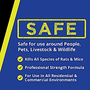 RatX EcoClear Products 620118-4, Bait Discs, All-Natural Poison Free Humane Rat and Mouse, 4 lb. Bucket