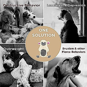 Lesure Plush Squeaky Dog Toys - Indestructible Stuffed Dog Toys for Aggressive Chewers with Tough Rope and Crinkle Paper for Puppies, Small Medium Large Pets, Sheep, 1 Pack