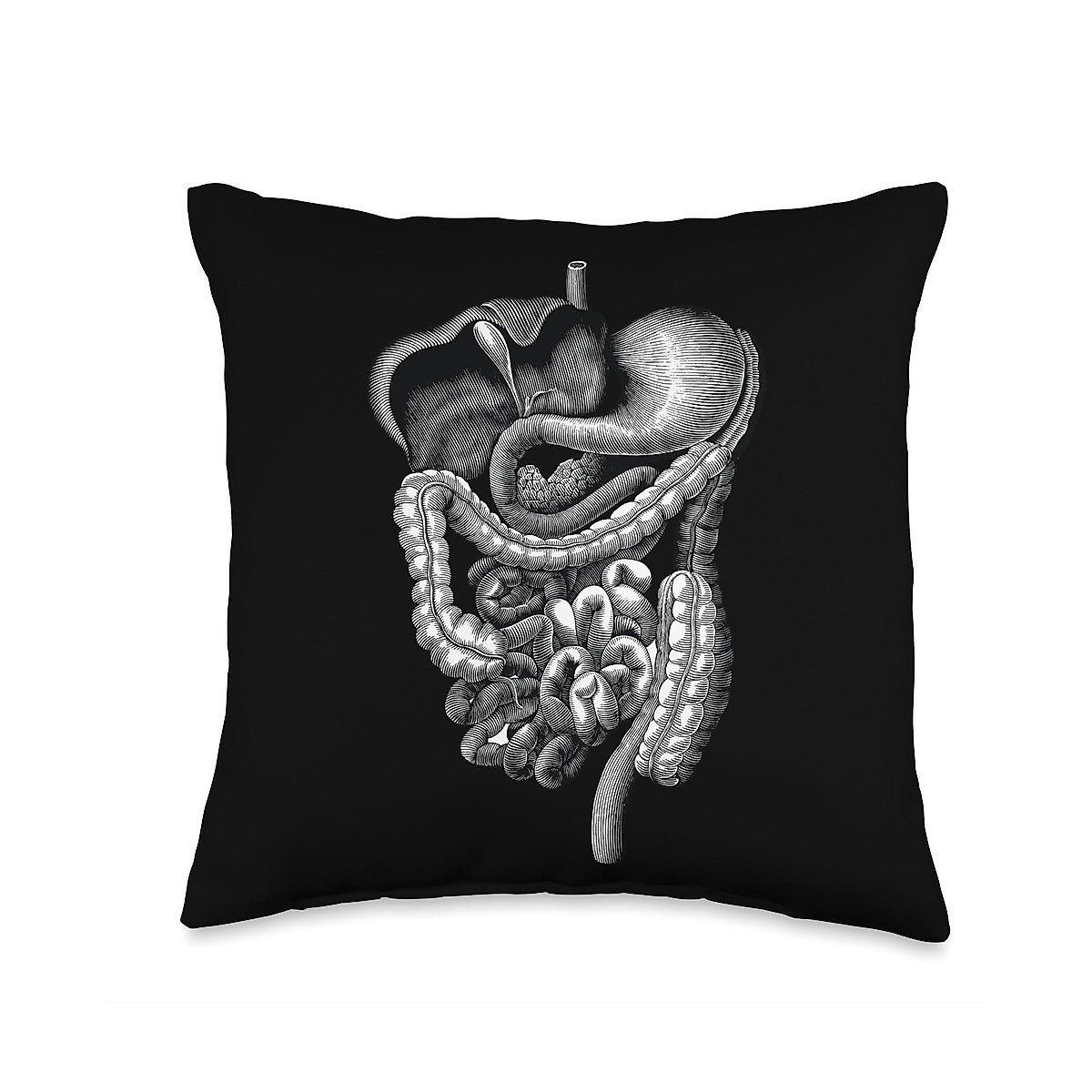 Mens Womens Kids Boys Girls Human Anatomy Gifts Human Body Internal Organs Anatomy Graphic Gift Men Women Throw Pillow, 16x16, Multicolor