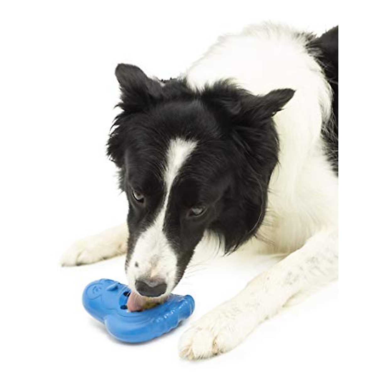 PetSafe BB-Penguin-ML Chilly Penguin Treat Holding Dog Toy, Medium/Large, for Large Breeds