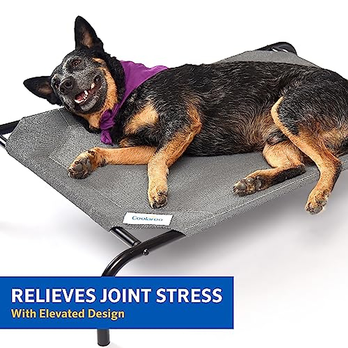 Coolaroo The Original Cooling Elevated Dog Bed, Indoor and Outdoor, Medium, Nutmeg