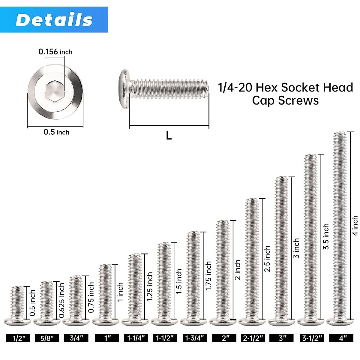 Glvaner 1/4"-20 x 1 Binding Screws Furniure Screws Connection Bolts, Socket Head Cap Screws 304 Stainless Steel Full Thread, 30 PCS