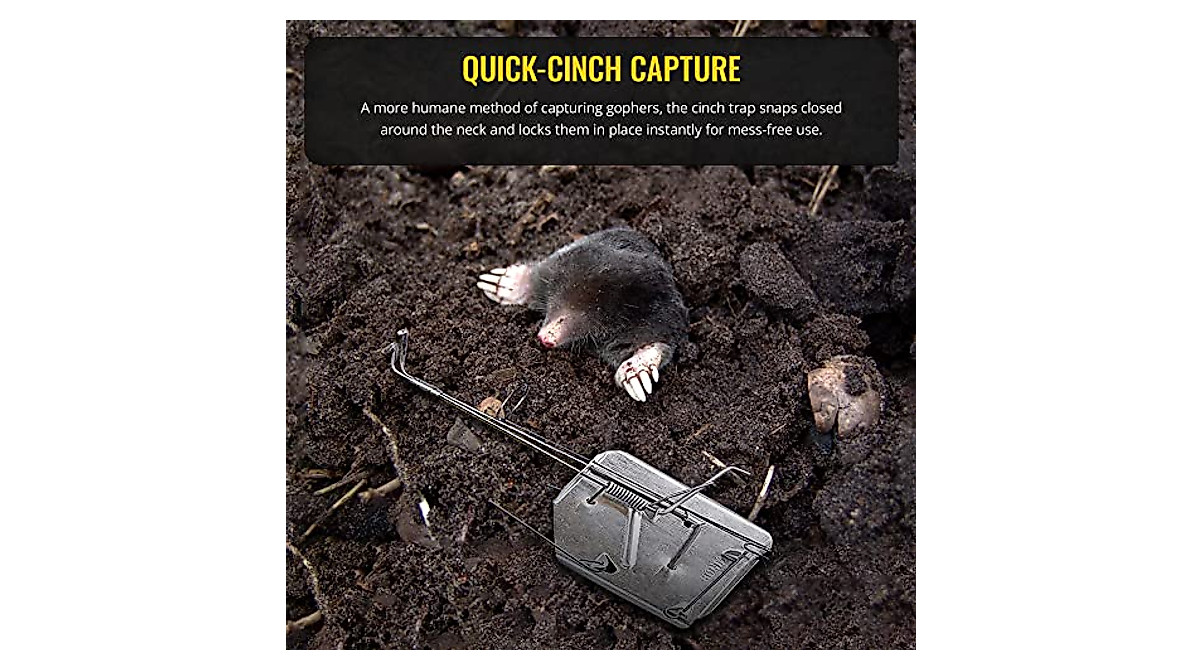 Cinch Mole Trap Kit - Heavy-Duty, Reusable Solutions