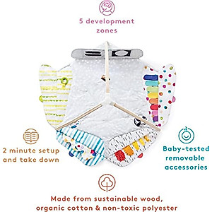 The Play Gym by Lovevery | Stage-Based Developmental Activity Gym & Play Mat for Baby to Toddler, 1 Count (Pack of 1)