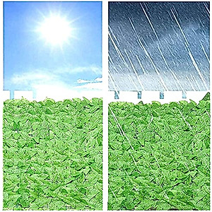 Expandable Faux Privacy Fence Artificial Ivy Leaf Hedge Roll Privacy Screen | Artificial Hedges Fence,Faux Ivy Vine Leaf Decoration UV Fade Protected for Balcony Patio (Size : 1×0.5m)