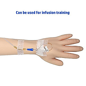 IV Practice Arm - Anatomy Lab IV Training Kit,Phlebotomy and Venipuncture Practice Arm,Model for Training and Perfecting IV/Phlebotomy/Venipuncture Procedures and Techniques