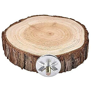 Litewoo Bird Pine Platform Perch for Parakeet Cockatiel Budgie Lovebird Canary Small Bird Parrot (L)