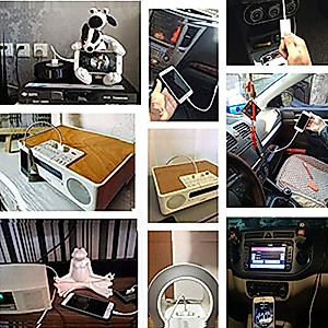 Apple Lightning to 30 Pin Adapter,MFi Certified 8 Pin Male to 30 Pin Female Connector Converter with iPhone Lightning Charger Cable Cord Compatible iPhone 12 11 X 8 7 6P 5S 4S 4 3 3G/iPad/iPod White