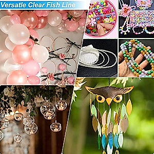Clear Fishing Wire,755FT Monofilament Fishing Line,Clear String for Hanging,Strong Clear Wire Invisible Nylon Thread for Hanging Balloon,Garland,Picture,Crafts,Decorations,Suitable for Beading Sewing