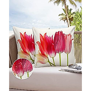 Outdoor Waterproof Throw Pillow Covers Set of 2, Elegant Tulip Flower Outdoor Pillow Covers Decorative Cushion Covers for Patio Funiture Garden, 18 x 18 Inches, Floral Pink Red