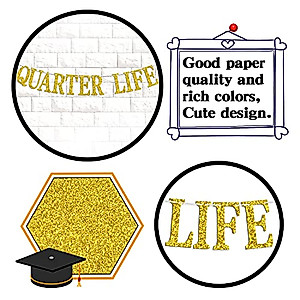 Quarter Life Crisis Banner, Fun Birthday Bunting Sign, Happy 25th/30th Birthday Party Decoration Supplies, Birthday Party Backdrop, Gold Glitter