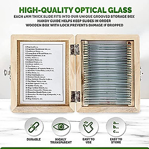 AmScope PS25W Prepared Microscope Slide Set for Basic Biological Science Education, 25 Slides, Includes Fitted Wooden Case