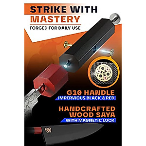 Dalstrong Chef Knife - 9.5 inch - Ronin Series - Double Bevel Blade Razor Sharp - Japanese AUS-10V Super Steel - Damascus Chef's Knife - G10 Handle Kitchen Knife - Black Acacia Wood Sheath