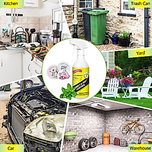 16 oz Peppermint Oil to Repel Mice and Rats, Rodent Repellent Peppermint Oil Spray for Bugs, Mouse, Roaches, Spiders, Ants, Flying Insects and More, Concentrated Formula for Powerful Protection