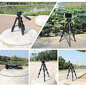 Mini Tripod for Camera,Zomei Travel Table Tripod with 3-Way Pan/Tilt Head 1/4 inches Quick Release Plate and Bag for DSLR Camera Tripod Carrying Bag