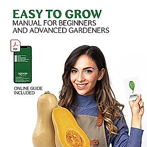 Seedra.US 6 Squash Seeds Variety Pack - 325+ Non GMO, Heirloom Seeds for Indoor Outdoor Home Garden - Summer and Winter Squash Seeds, Zucchini Seeds + Eggplant Seeds