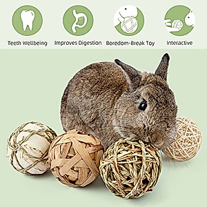 andwe Small Animals Play & Activity Balls Rolling Chew Toys for Rabbits Guinea Pigs Chinchilla