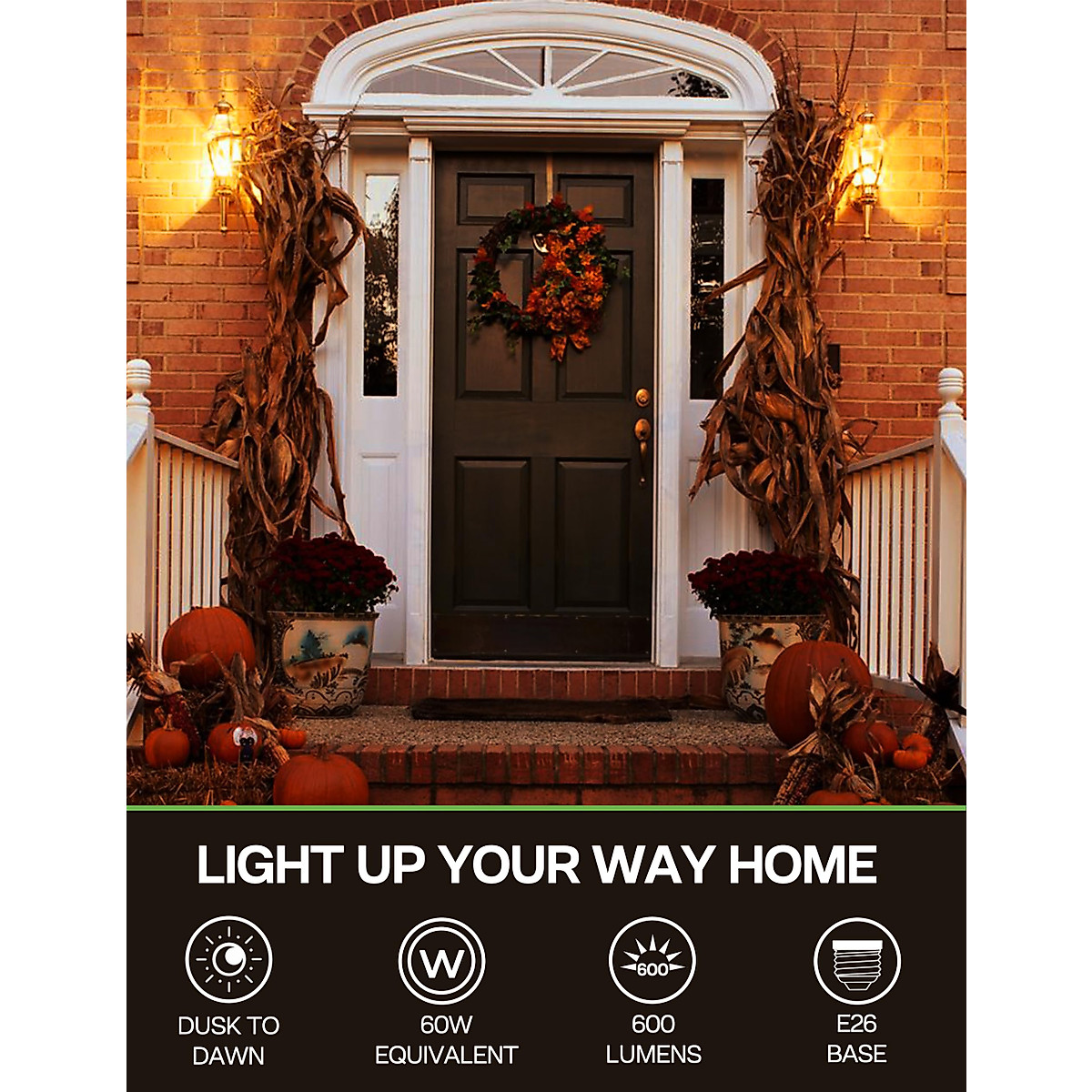 Dusk to Dawn Light Bulbs LED Edison, 60W Equivalent Outdoor Lighting, Soft White 2700K, E26 Base, Light Sensing, ST58 Vintage Style, 600LM, Extra Bright Automatic Bulb for Porch Patio Garage, 4 Pack