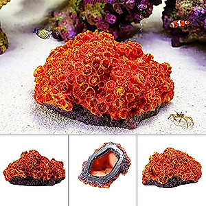 Danmu 1Pc of Polyresin Coral Ornaments, Aquarium Coral Decor for Fish Tank Aquarium Decoration 5.11" x 3.93" x 2.75"