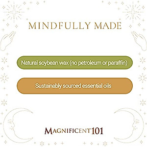 Magnificent 101 Money Cash Flow Boost Set of 3 Candles