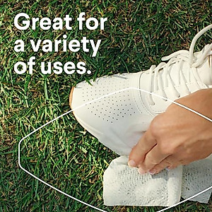 Clorox Disinfecting Wipes, Bleach Free Cleaning Wipes, Crisp Lemon, 35 Count (Package May Vary)