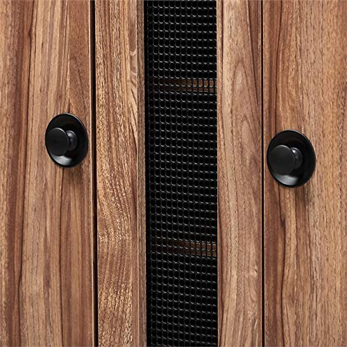 Baxton Studio Valina 2-Door Wood Shoe Storage Cabinet with Drawer in Oak-Black