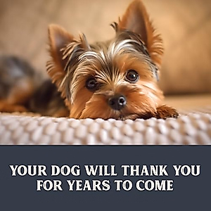 Health Extension Gently Cooked Chicken & Pumpkin Dog Food, (9 oz, 255 g) – Bowl Ready with Bone Broth, Omega-3s & Superfoods for All Life Stages (Case of 10 Pouches)