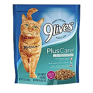 9Lives Cat Plus Care Dry Food 12oz #13291, 12 Ounce (Pack of 1), Multicolored