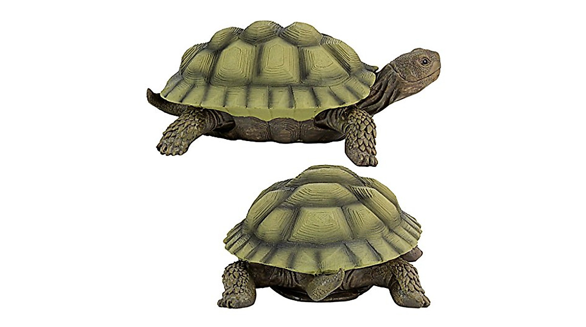 Design Toscano Gilbert Box Turtle Garden Statues - Set of 2