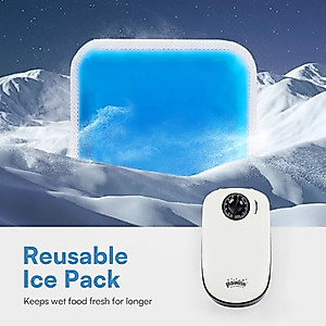 PAWISE Automatic Pet Feeder, Auto Dog Dry Food Dispenser with Timer for Cats and Dogs, Dog Automatic Feeder with Ice Pack (1 Meal)