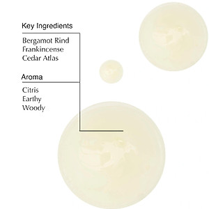 Aesop Shampoo and Conditioner Set - Earthy | Cleanser for All Hair Types and Scalp | Soft, Shiny, Fragrant Hair | Paraben, Cruelty-free & Vegan | 16.9 oz