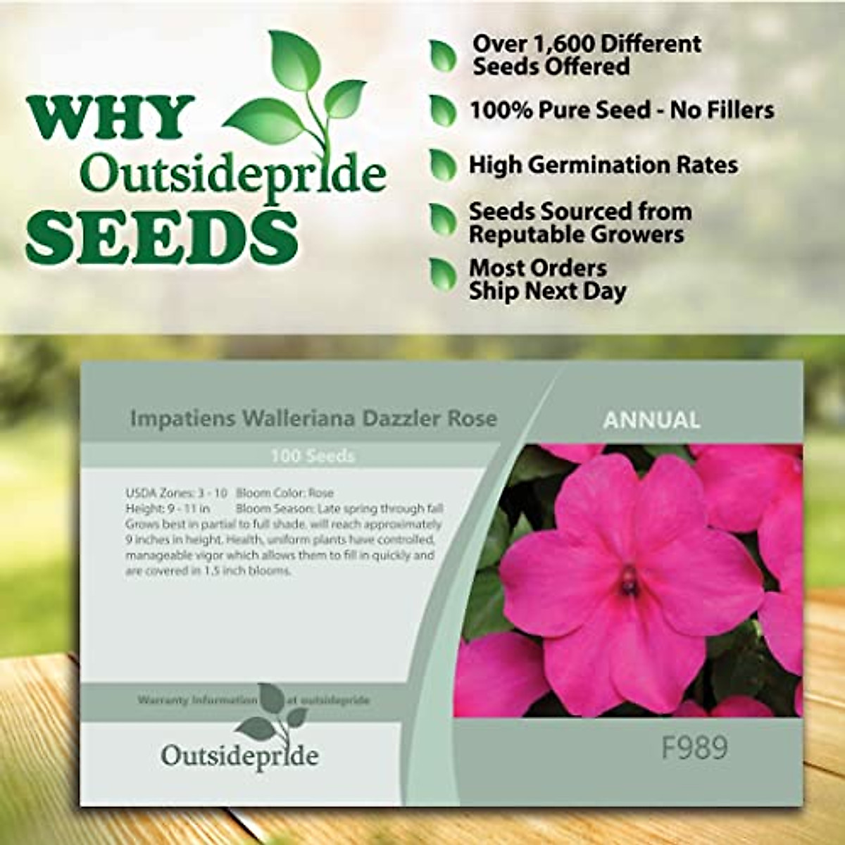 Outsidepride Impatiens Plant Rose Shade Garden Flower Plants for Pots, Hanging Baskets, Containers, Window Boxes - 100 Seeds